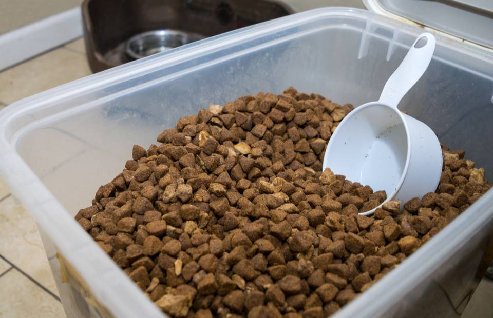 psi zradlo - AAzdraví.cz