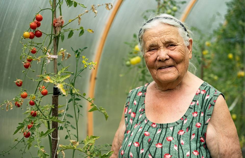 Stát zvýší věk odchodu do důchodu. Češi budou makat mnohem déle, aby ...