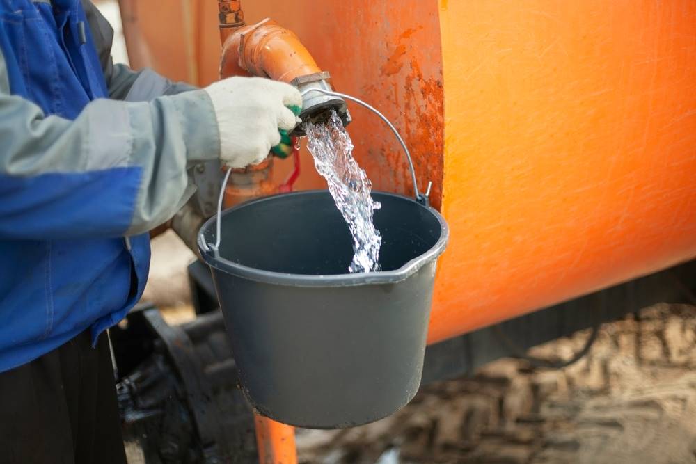 Rekordně rychlá likvidace myší. Vezměte kýbl a za noc bude doslova plný ...